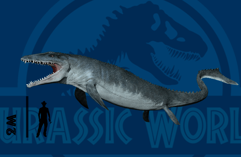 DJW: Mosasaurus – El Pakozoico